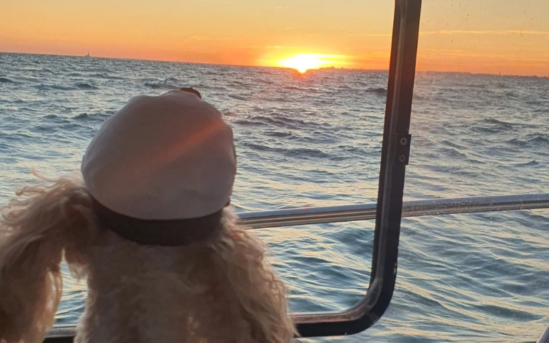 Paseo en barco Puerto Sherry-Experiencias Turismo